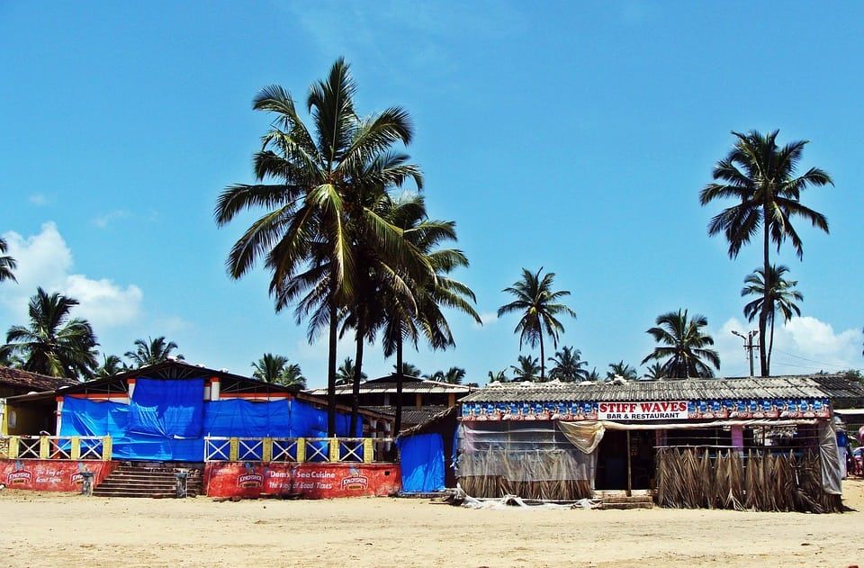 The Touristic Tribes of Goa
