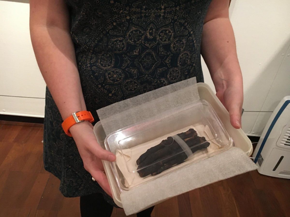 Museum archivist discovers mystery mummified hand belonging to ancient ...