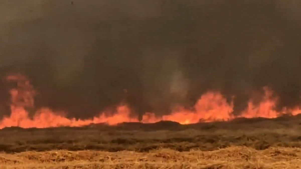 Watch - Over 100 firefighters tackle huge 50ft flames at rural field in ...