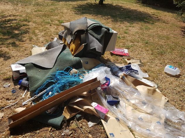 DIL-DOH! Sex toy among rubbish dumped on cricket pitch