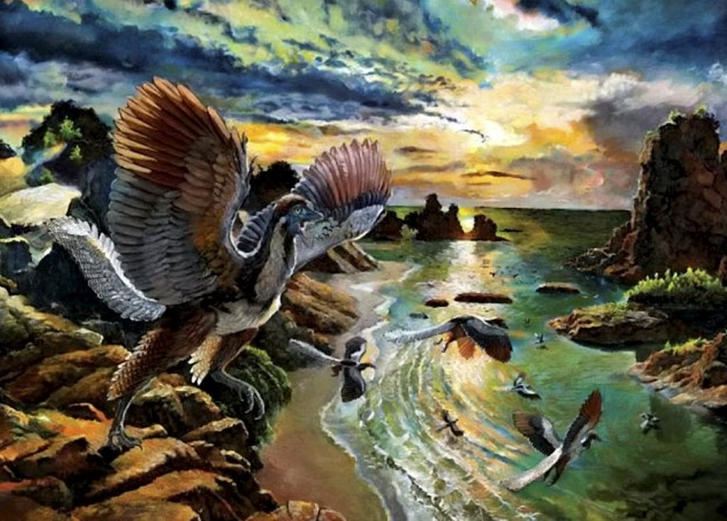 Archaeopteryx, one of the most famous fossils ever discovered, really ...