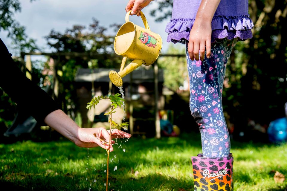 Call for a million people to back mass tree planting campaign