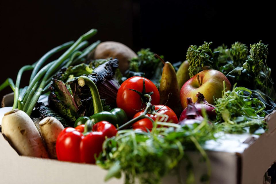 Produce delivery services operating throughout the Covid-19 pandemic