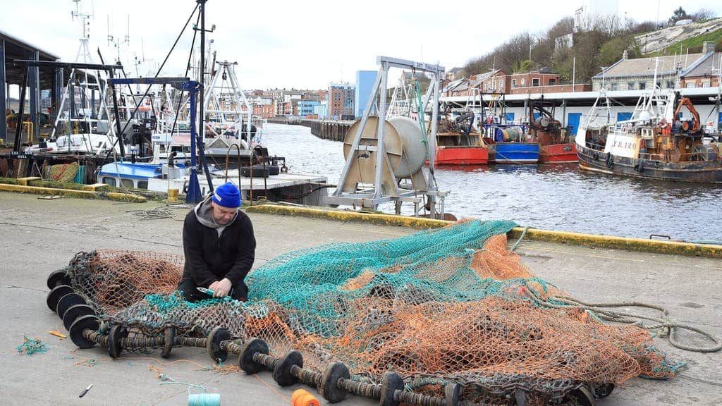 Fish merchant who voted Brexit to "take back control of UK waters" says ...