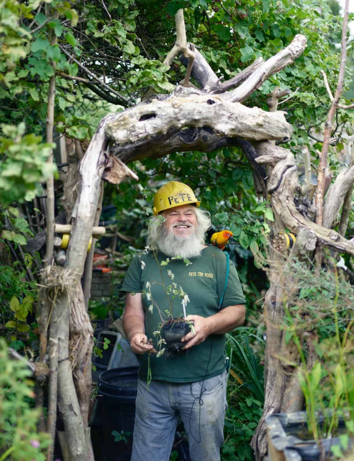Wildlife expert ordered by council to tear up garden full of endangered ...