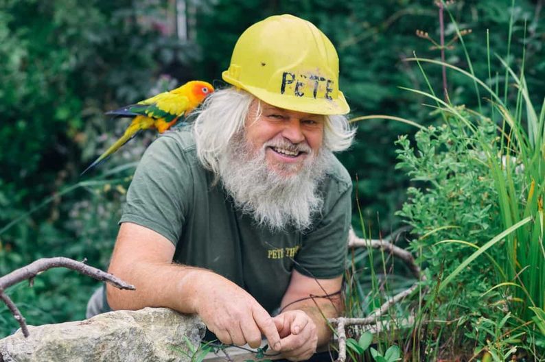 Wildlife expert ordered by council to tear up garden full of endangered ...