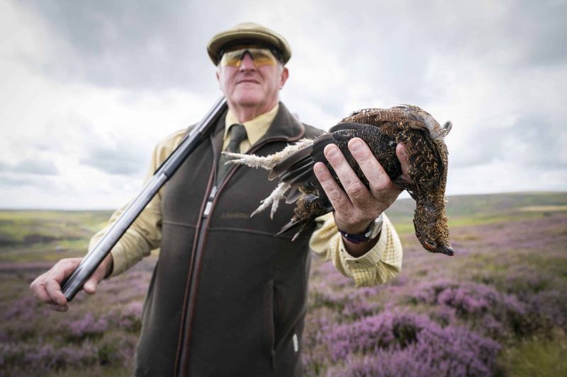 Grouse shooting: 'A glorious 12th for hunt saboteurs'