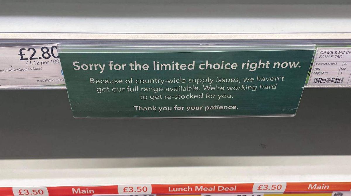 Brexit-caused food shortages noticed by 56 per cent of Britons, poll ...