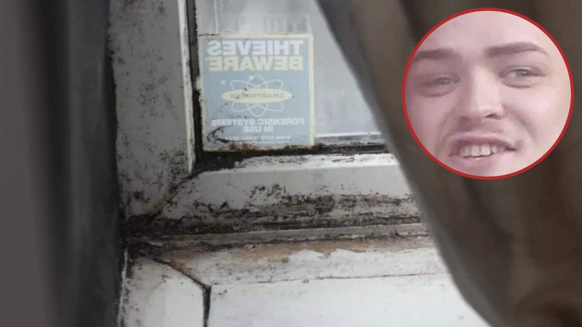 Mother begged for help to leave mould-ridden home before son died ...