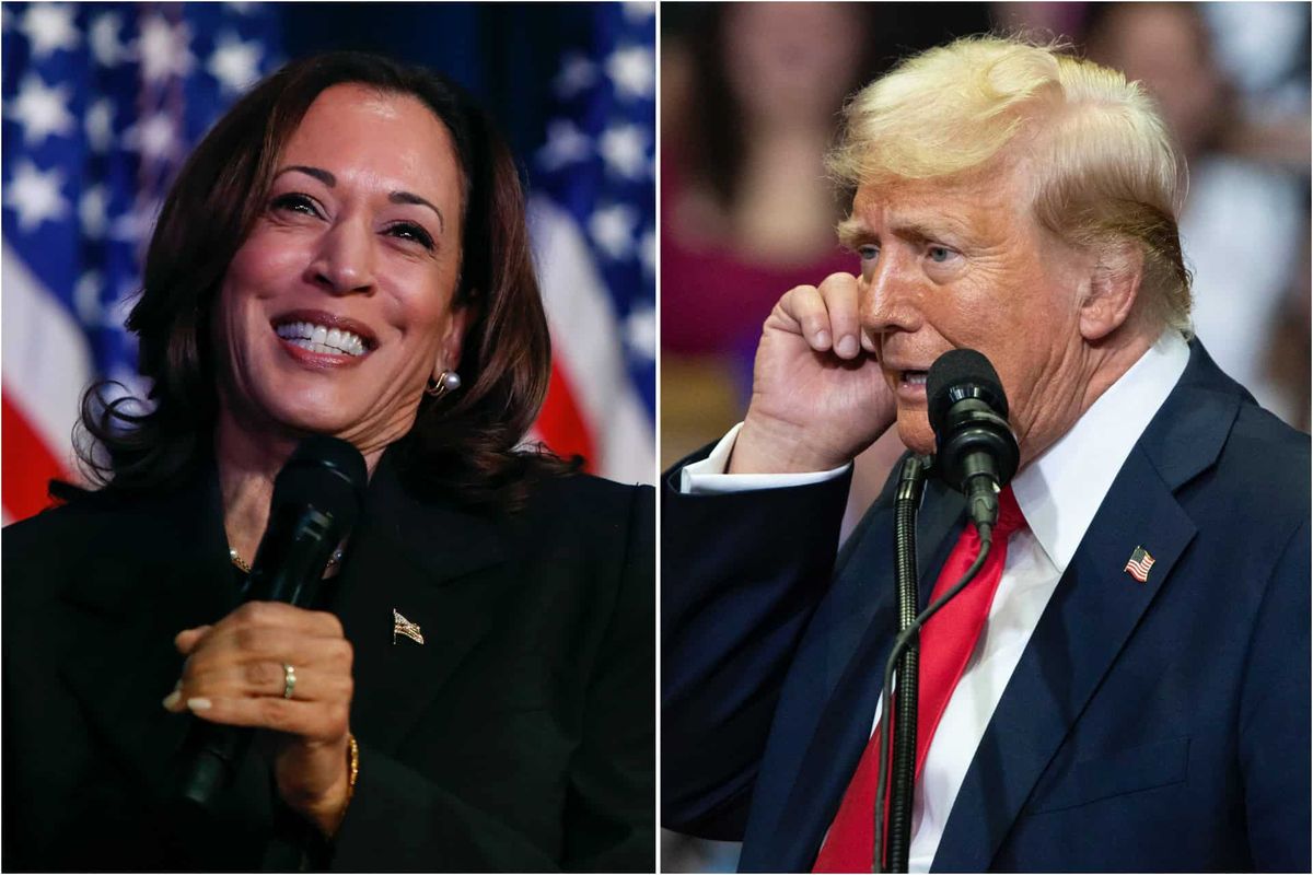 Trump leads Harris by 10.46%, bookies say