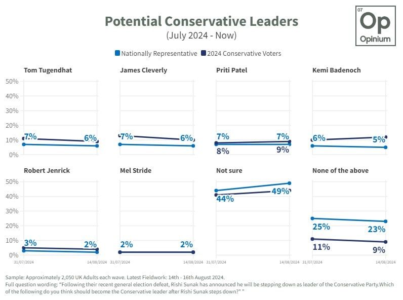 Poll shows all Tory leadership candidates trailing behind 'None Of The ...
