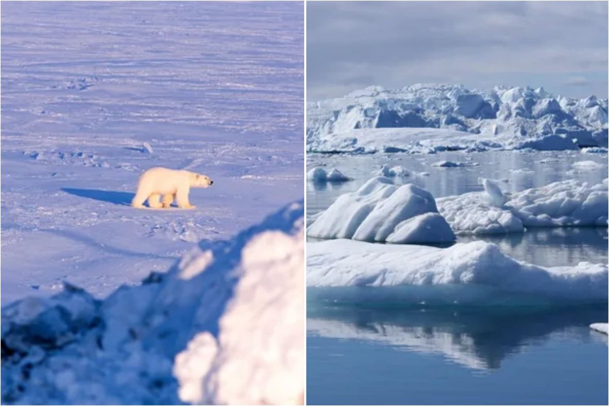 Scientists have discovered a way to ‘grow’ sea ice