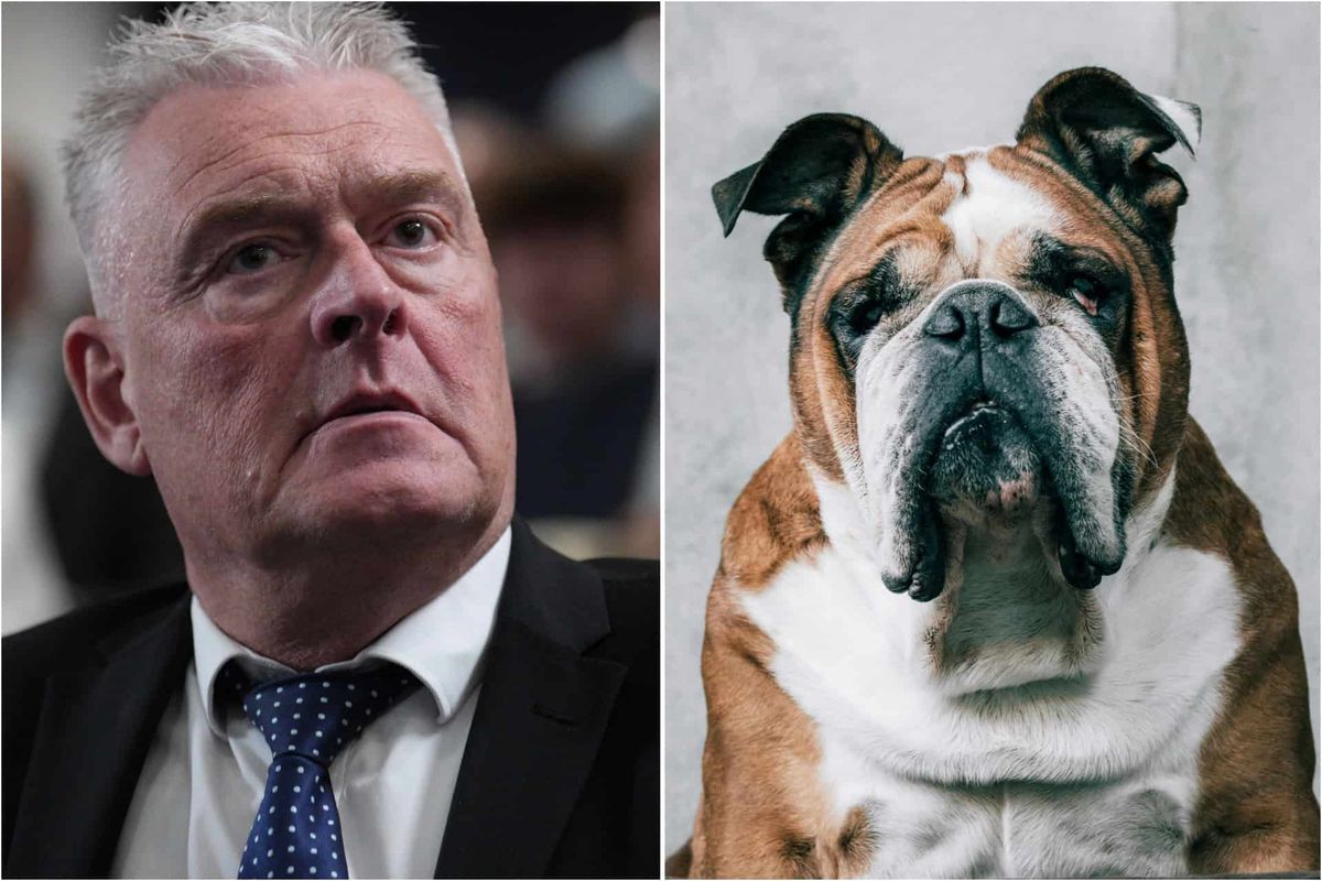 Lee Anderson up in arms over plans to ban 'racist dogs'