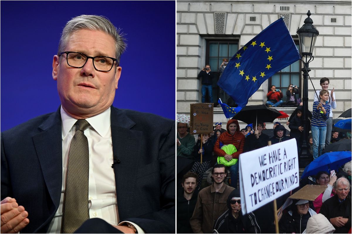 General election petition reaches three million signatures