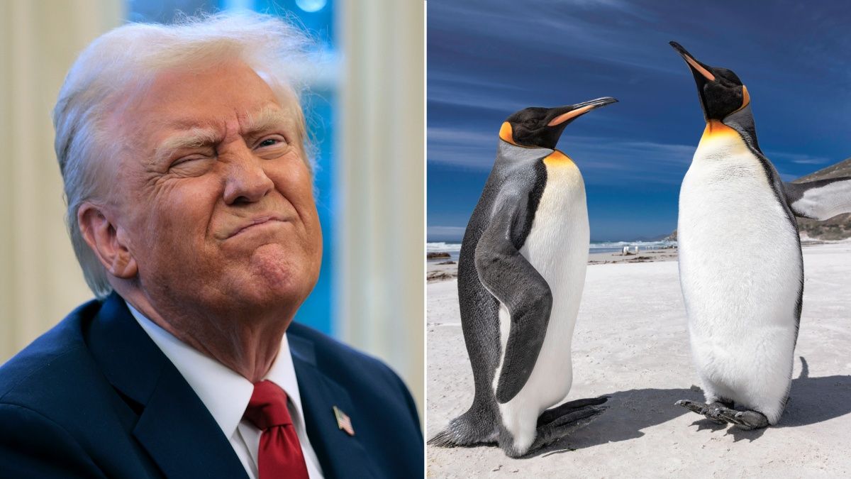 Donald Trump puts tariff on island only populated by penguins