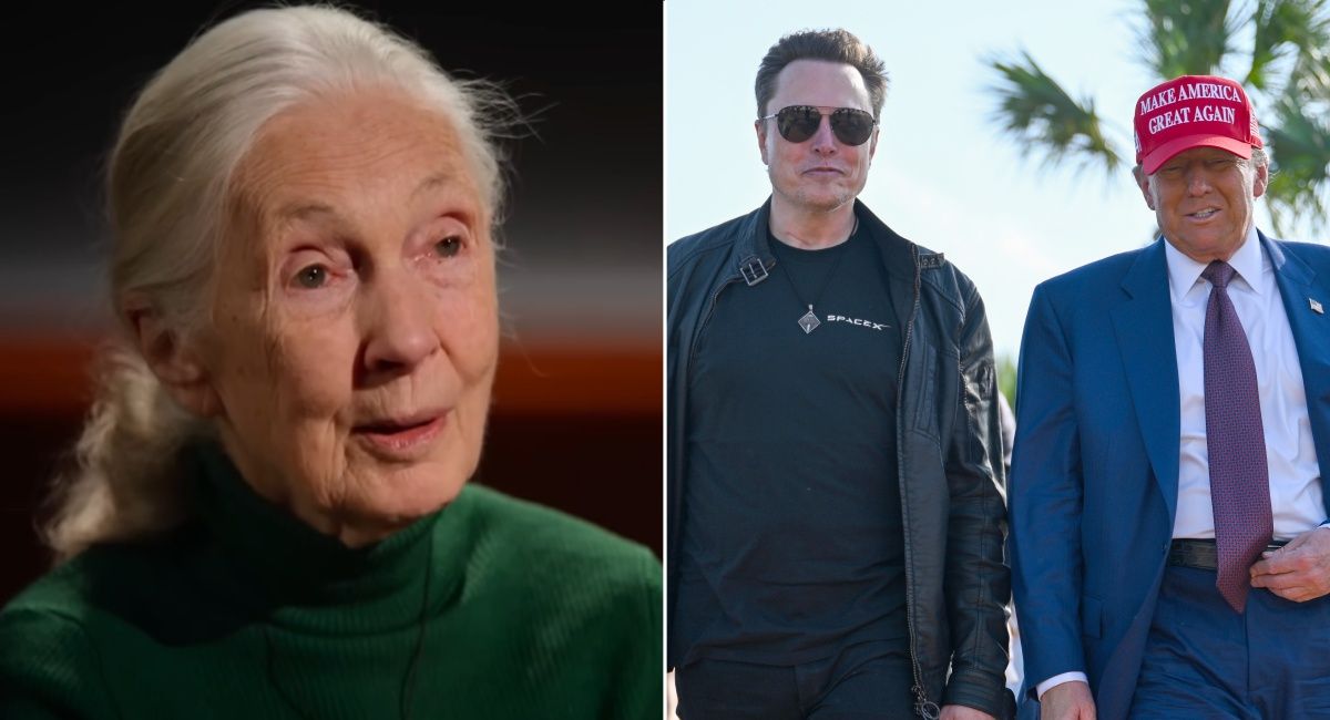 Jane Goodall says Musk, Trump and Putin should be 'fired into space' in ...