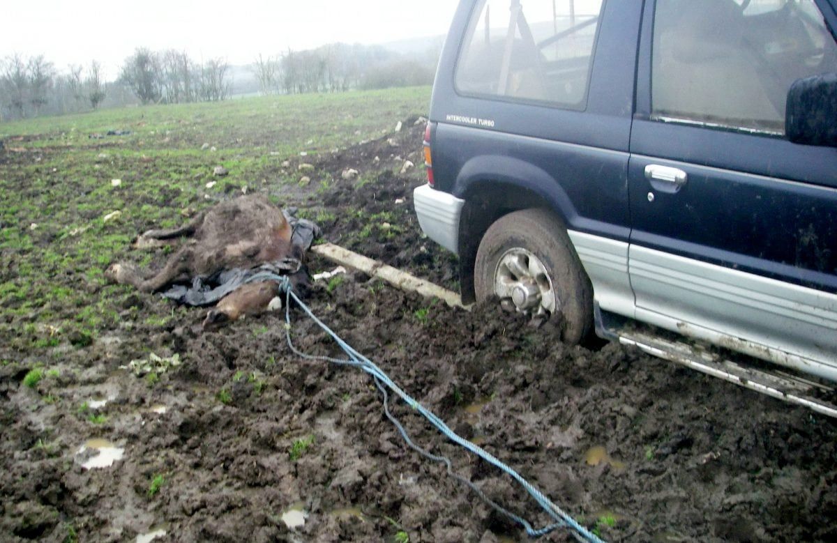 Shocking photos released as "farm from hell" farmer jailed