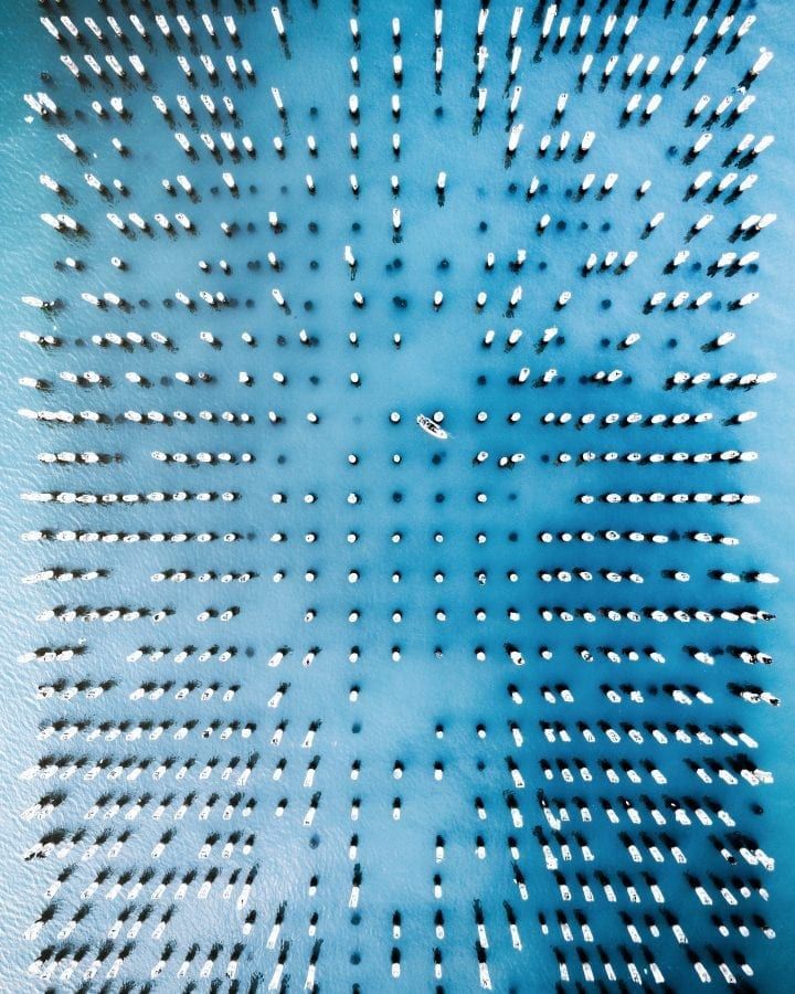 Breathtaking drone pictures reveal geometric patterns