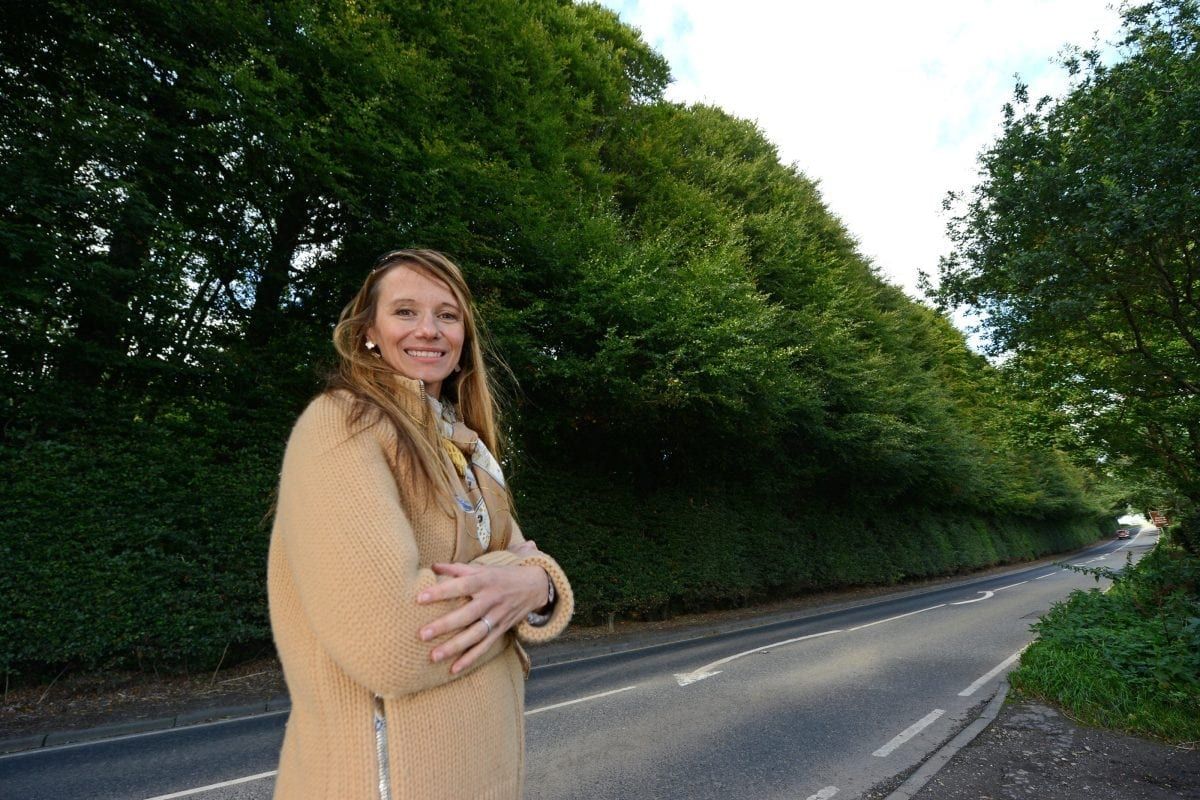 Owner of the highest hedge in the world is facing a huge bill for ...