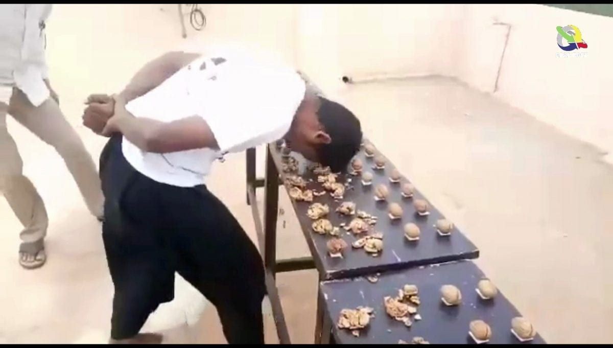 Watch: Is he nuts? Man smashes world record for smashing walnuts with ...