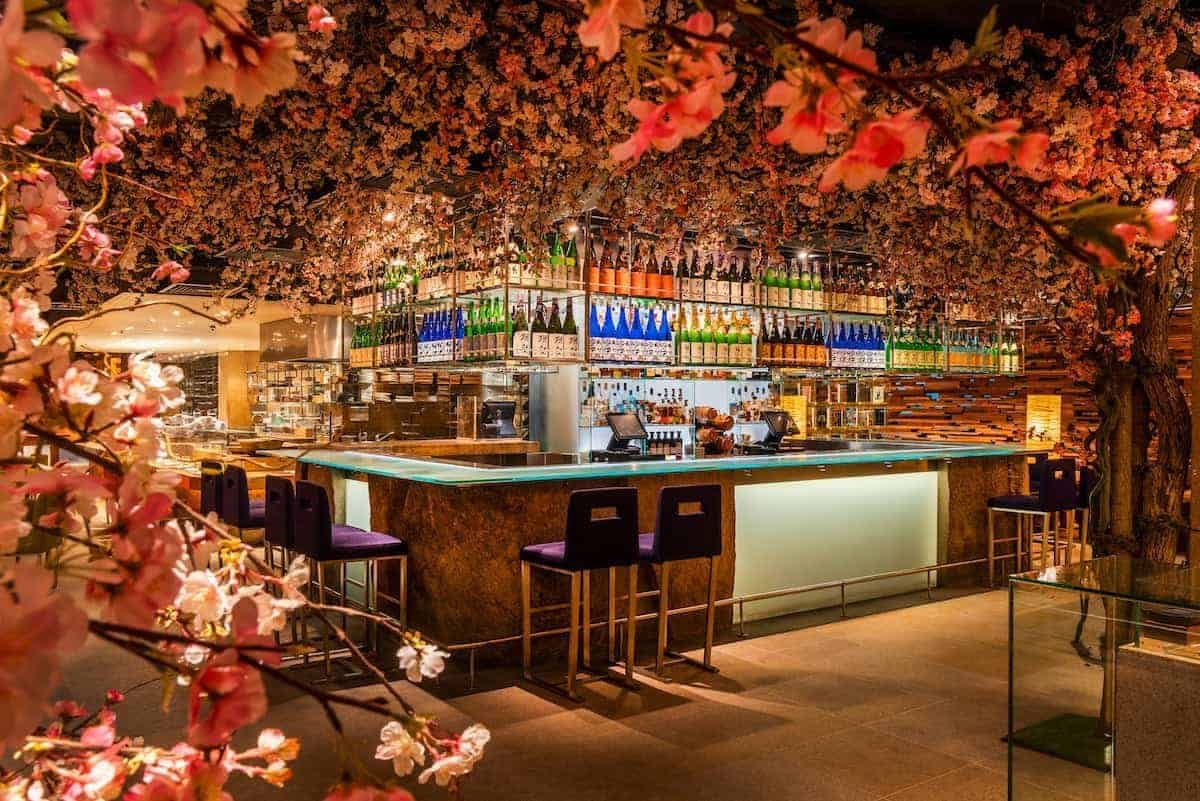 Bar of the Week: Zuma London