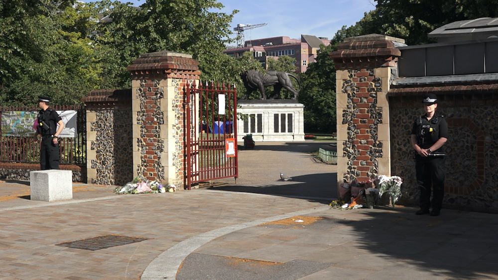 Reading attack: Forbury Gardens image goes viral as residents show unity
