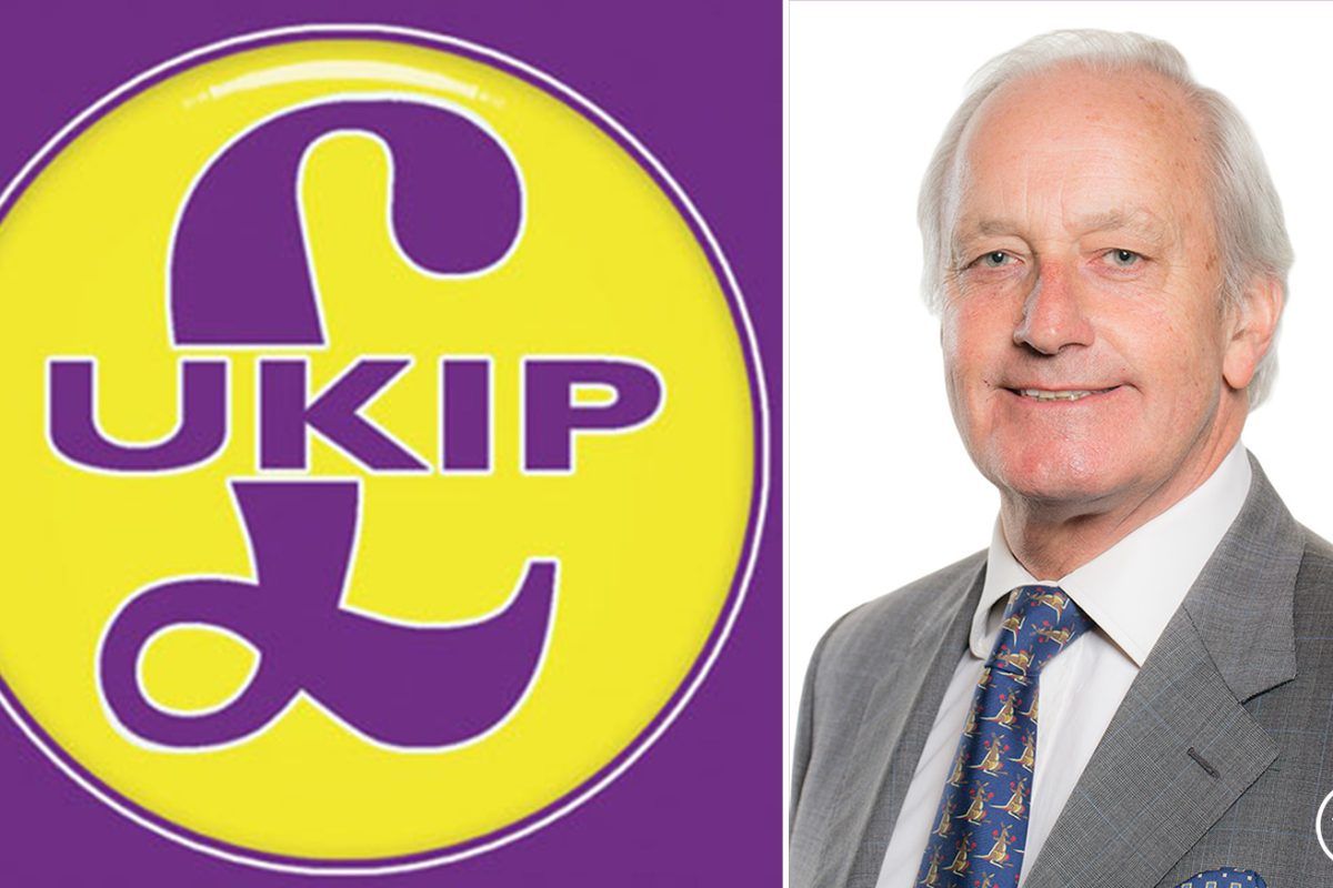 UKIP appoint disgraced former MP as new leader