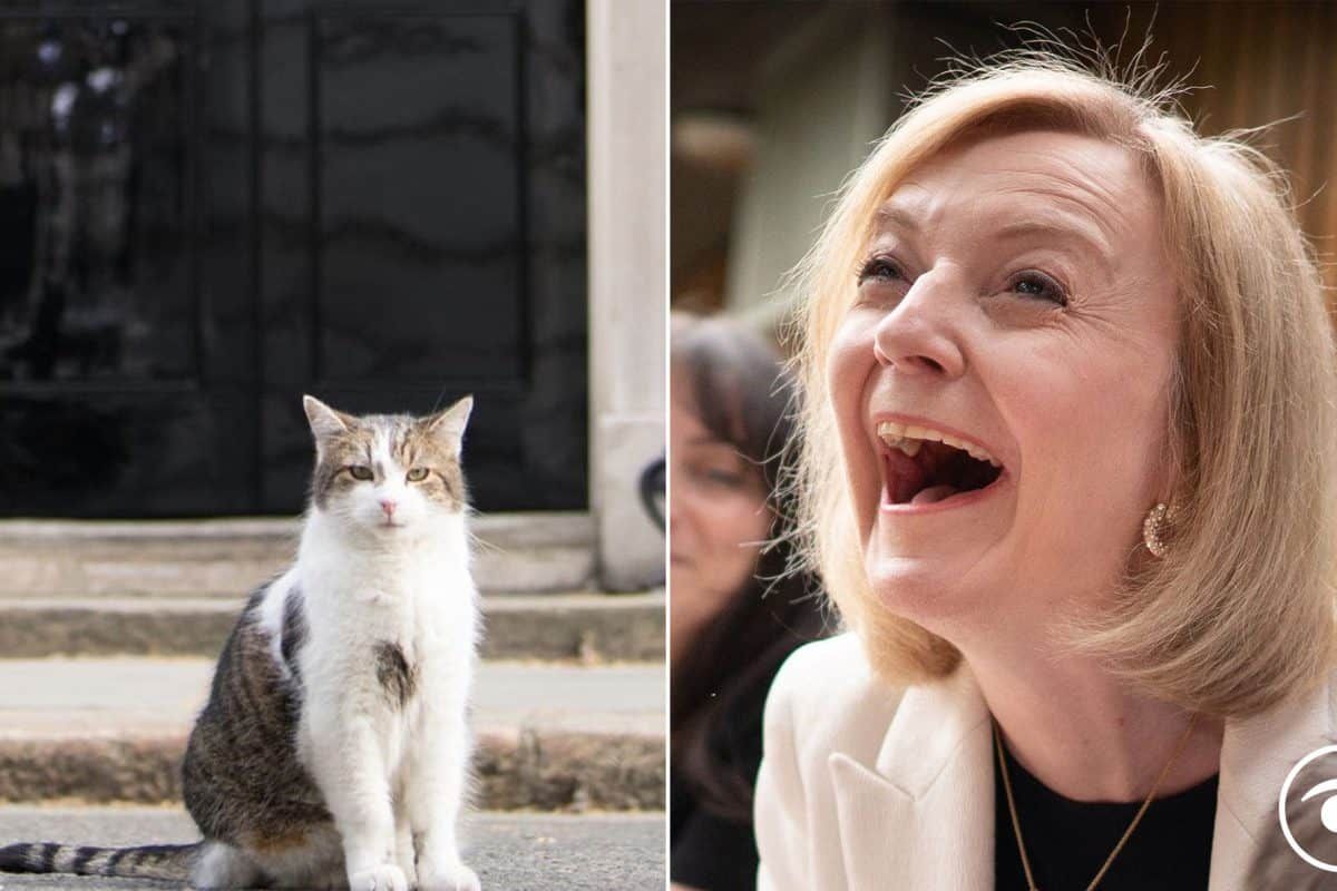 Larry the Cat has more Twitter followers than Liz Truss
