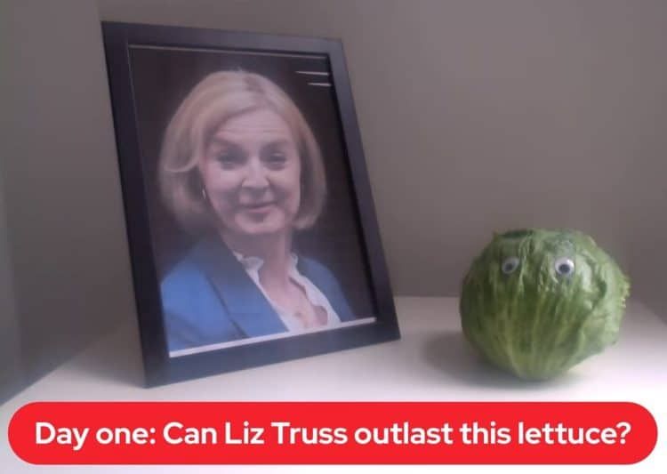 Liz Truss challenged to 'last longer' than THIS lettuce - yes, really...