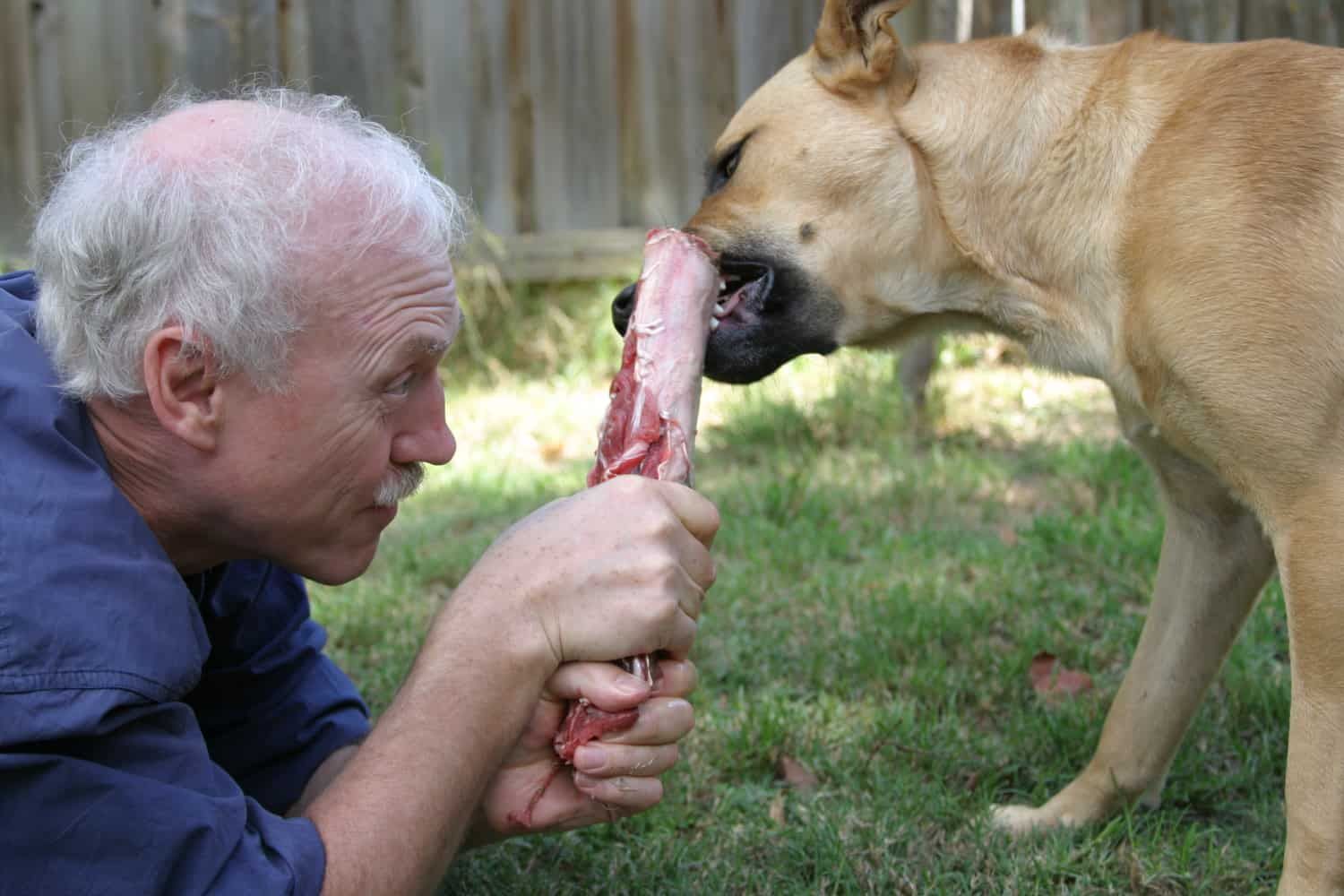 Multi-Billion-Dollar Pet Food Fraud by Dr Tom Lonsdale