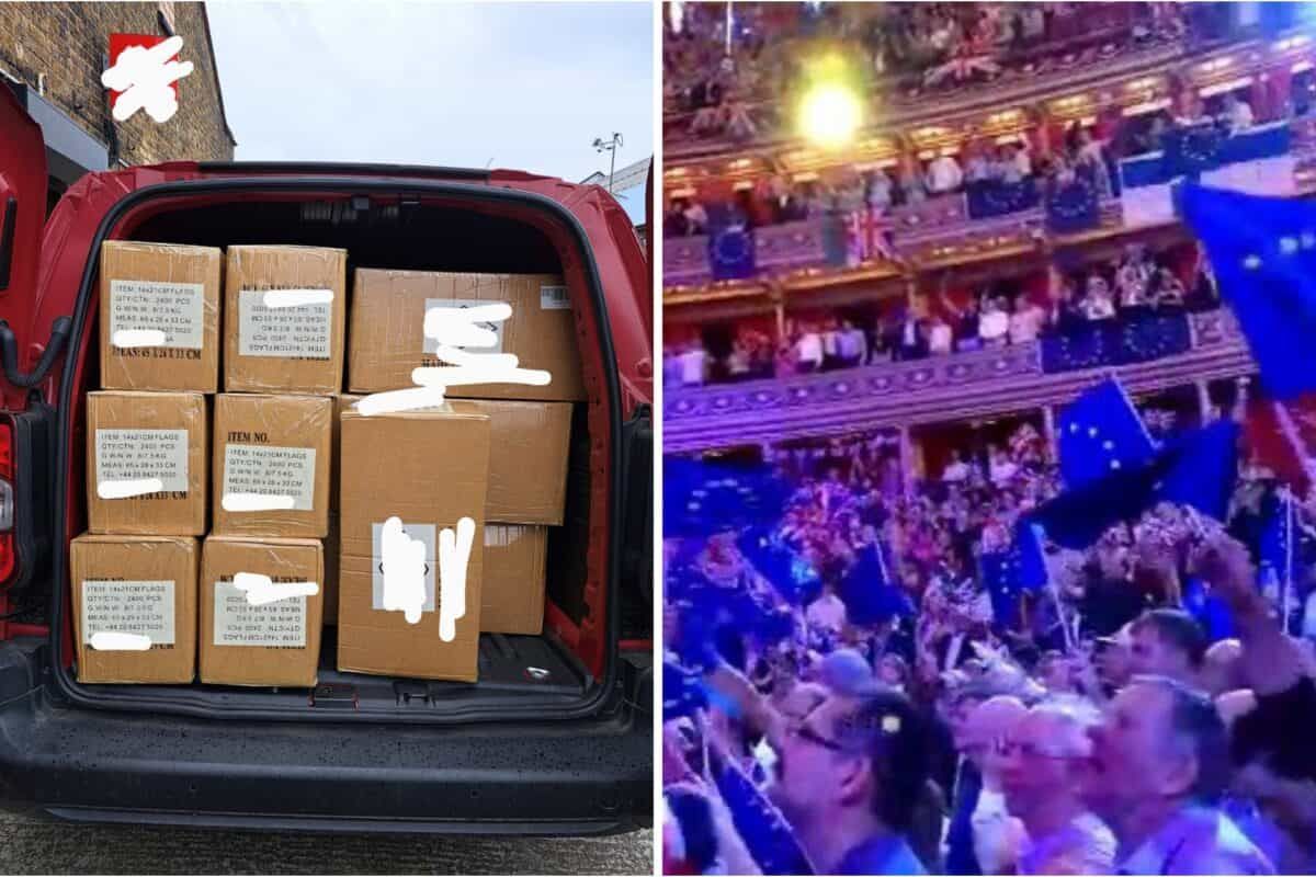 Thousands of EU flags spotted at Last Night of the Proms