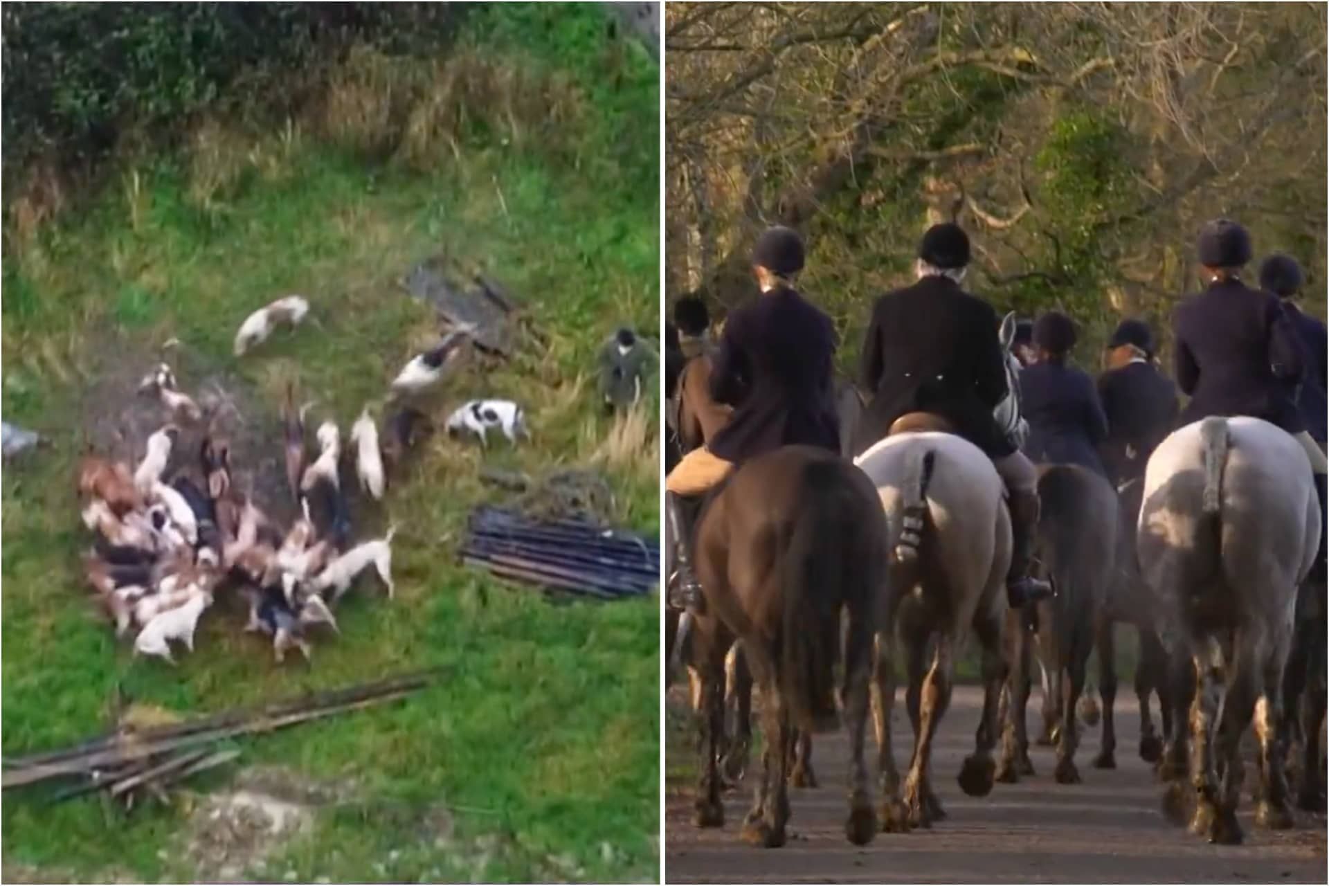 Channel 4 drone exposes shocking fox hunting footage