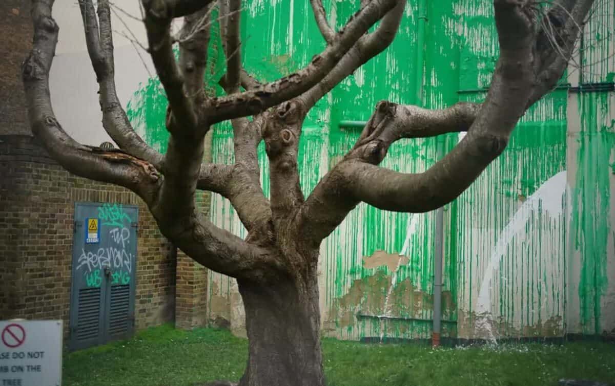 Banksy tree mural defaced with white paint