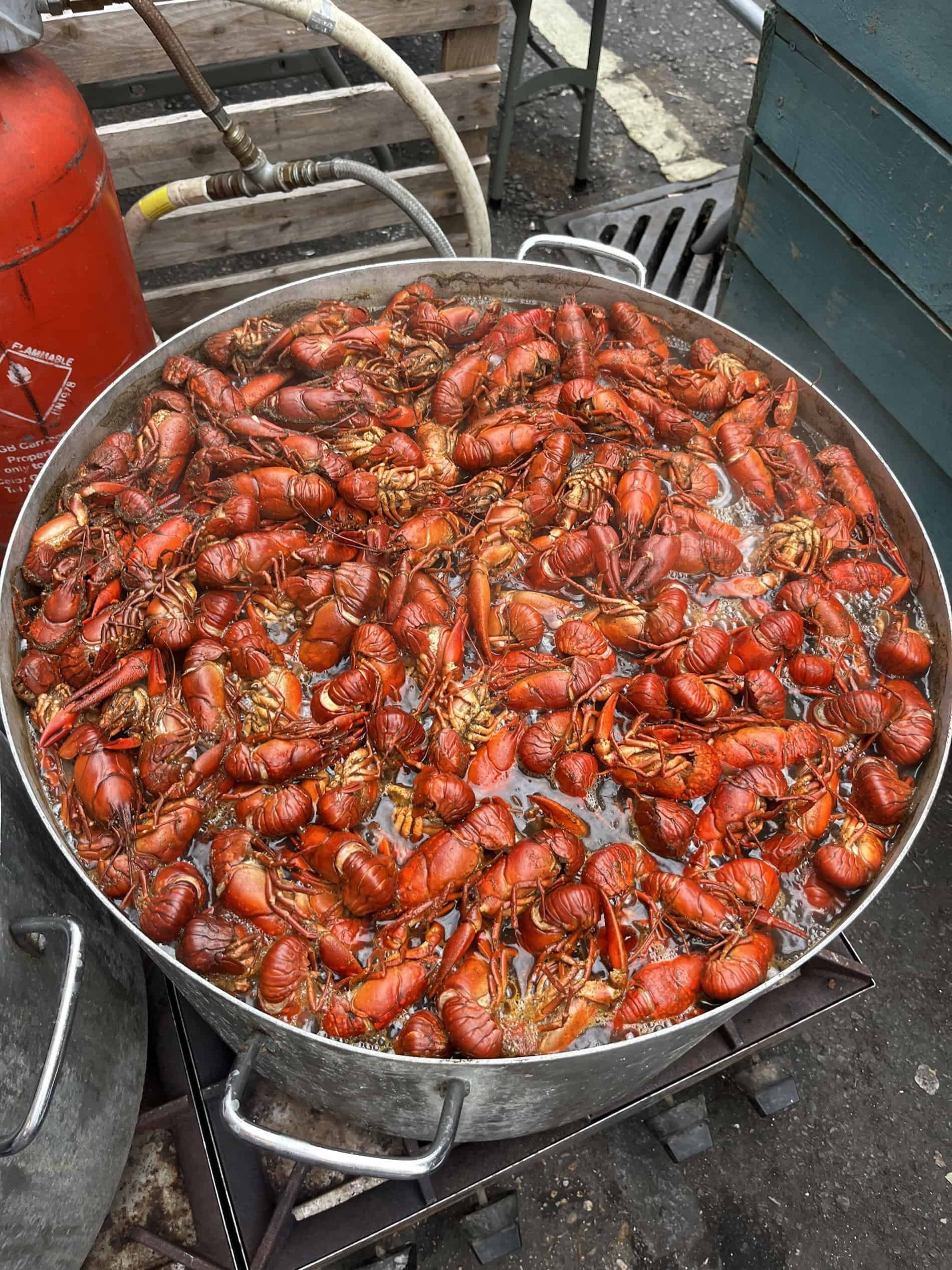 Crayfish Bob returns with his legendary Louisiana Crawfish Boil
