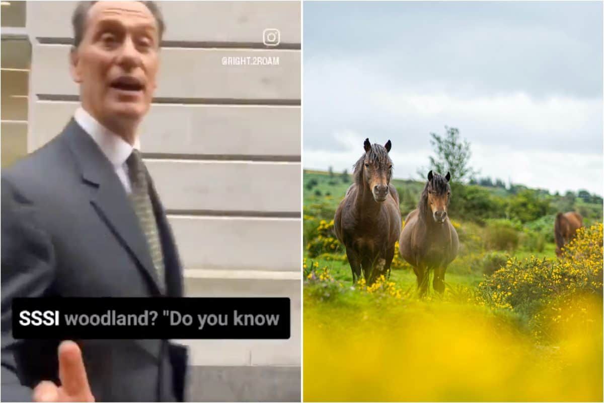 Alexander Darwall confronted outside Supreme Court