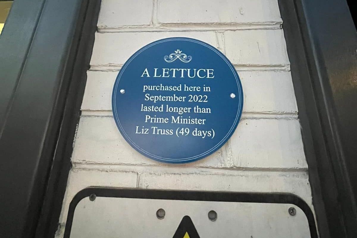 Lettuce that outlasted Liz Truss honoured with famous 'blue plaque'